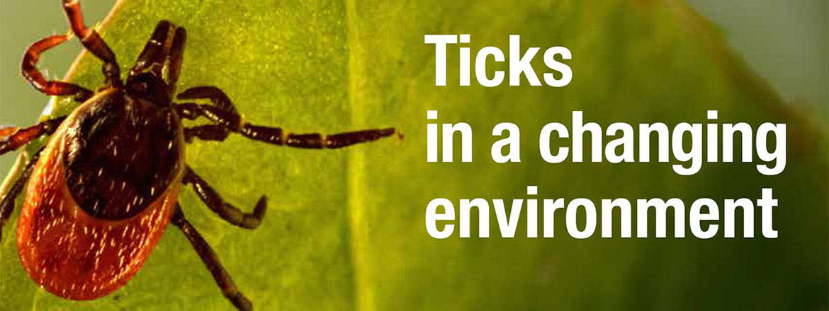 Ticks in a changing climate