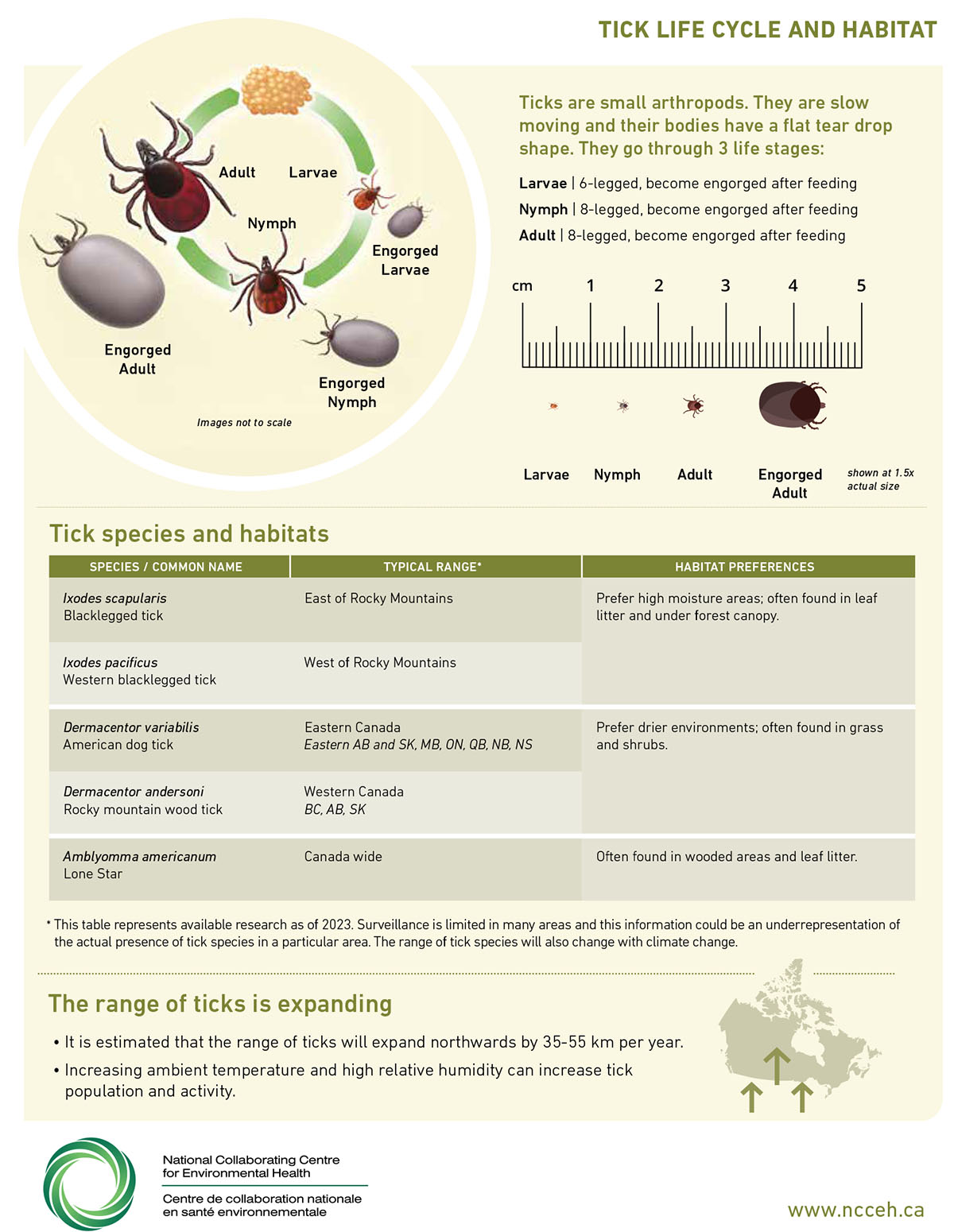Ticks in a changing climate