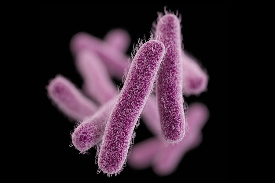 Product highlight: US CDC Shigella Prevention and Control Toolkit