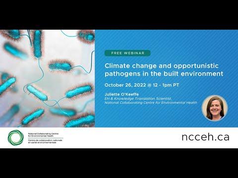 Climate change and opportunistic pathogens (OPs) in the built environment