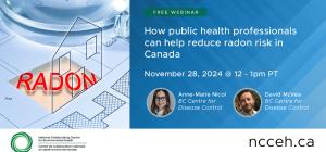 Putting radon on the map: A new and interactive tool for British ...