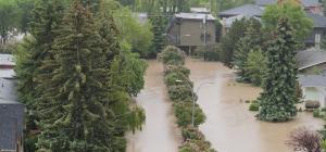 A guide to post-flooding community-level psychosocial response and ...