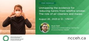 Rapid review: Evaluating the effectiveness of masks and respirators ...